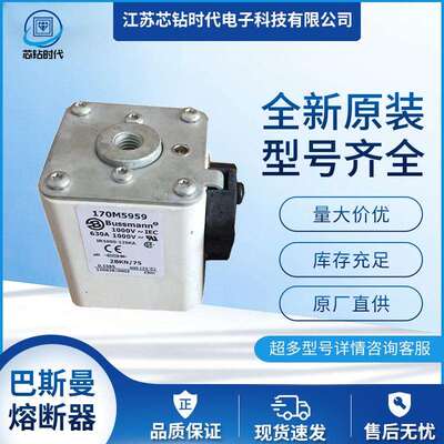 170M5958170M5959巴斯曼BUSSMANN熔断器保险丝
