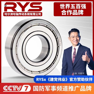 RYS 哈尔滨轴承 带法兰C型扣环 F 606 608 683 686 688 696 698 Z