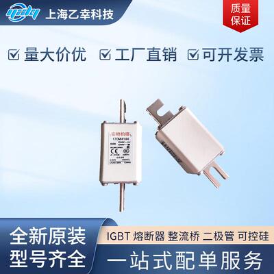 巴斯曼熔断器 170M4198 170M4202 170M4203 170M4204 170M4208