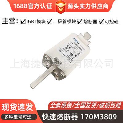 170M3809 170M3471 快速熔断器 电子元器件 型号齐全 量大价优