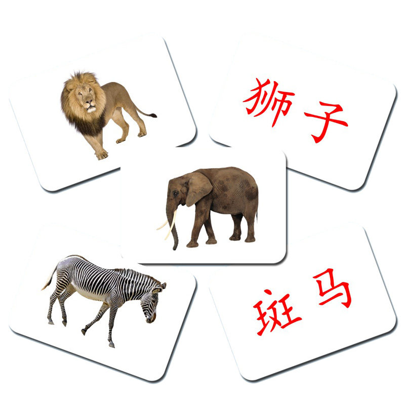 早教杜曼百科动物闪卡右脑潜能开发宝宝儿童益智看图识字认知卡片