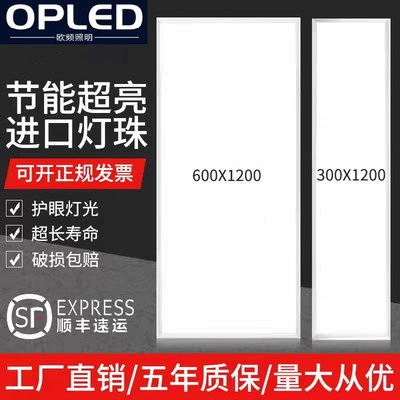 欧频600x1200led集成吊顶平板灯300x1200LED面板灯矿棉板石膏板