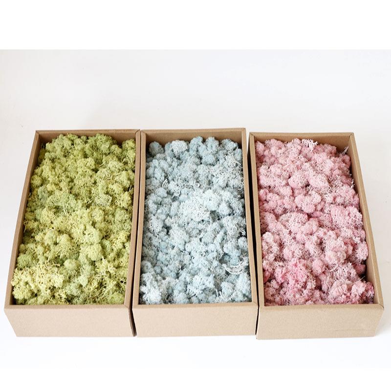 永生苔藓500克/盒 永生花diy材料包香薰玻璃罩背景墙装饰工厂