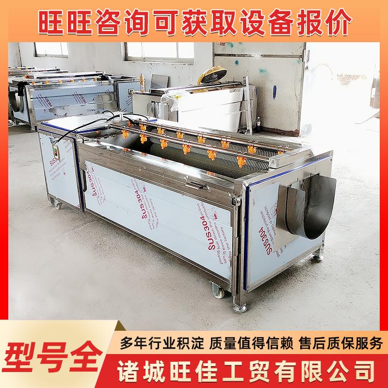 商用毛辊清洗去皮机萝卜莲藕山药果蔬肉类海鲜清洗机土豆去泥设备