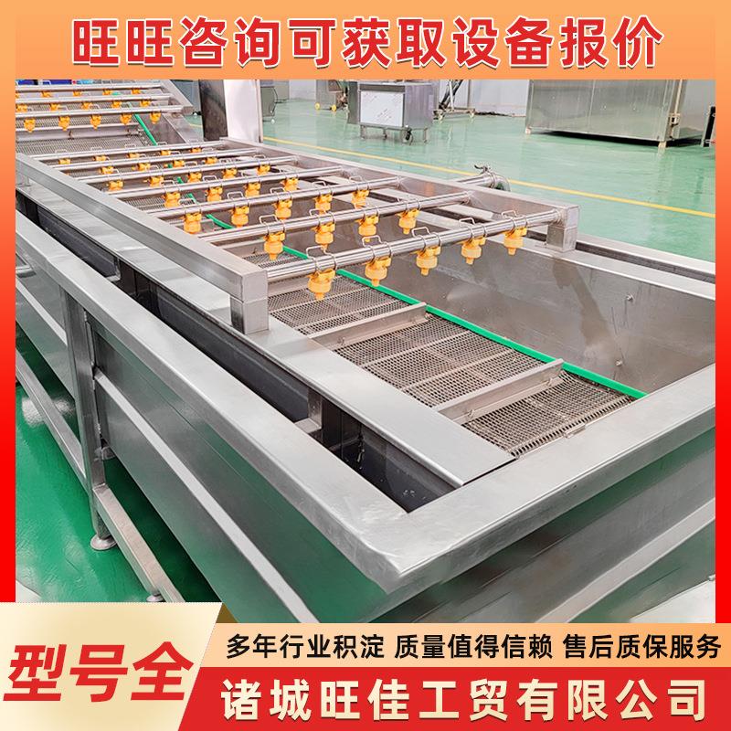 全自动果蔬气泡清洗机 毛豆深加工流水线 连续式圣女果清洗设备
