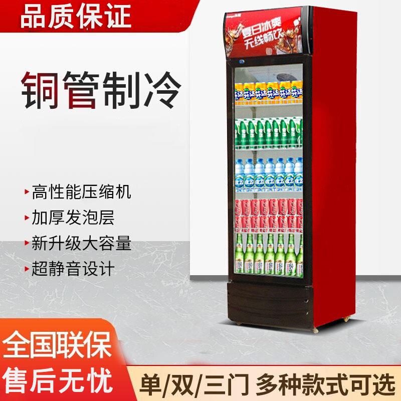 啤酒柜冷藏展示柜立式商用冰箱单门保鲜柜饭店超市冷柜双门 饮料