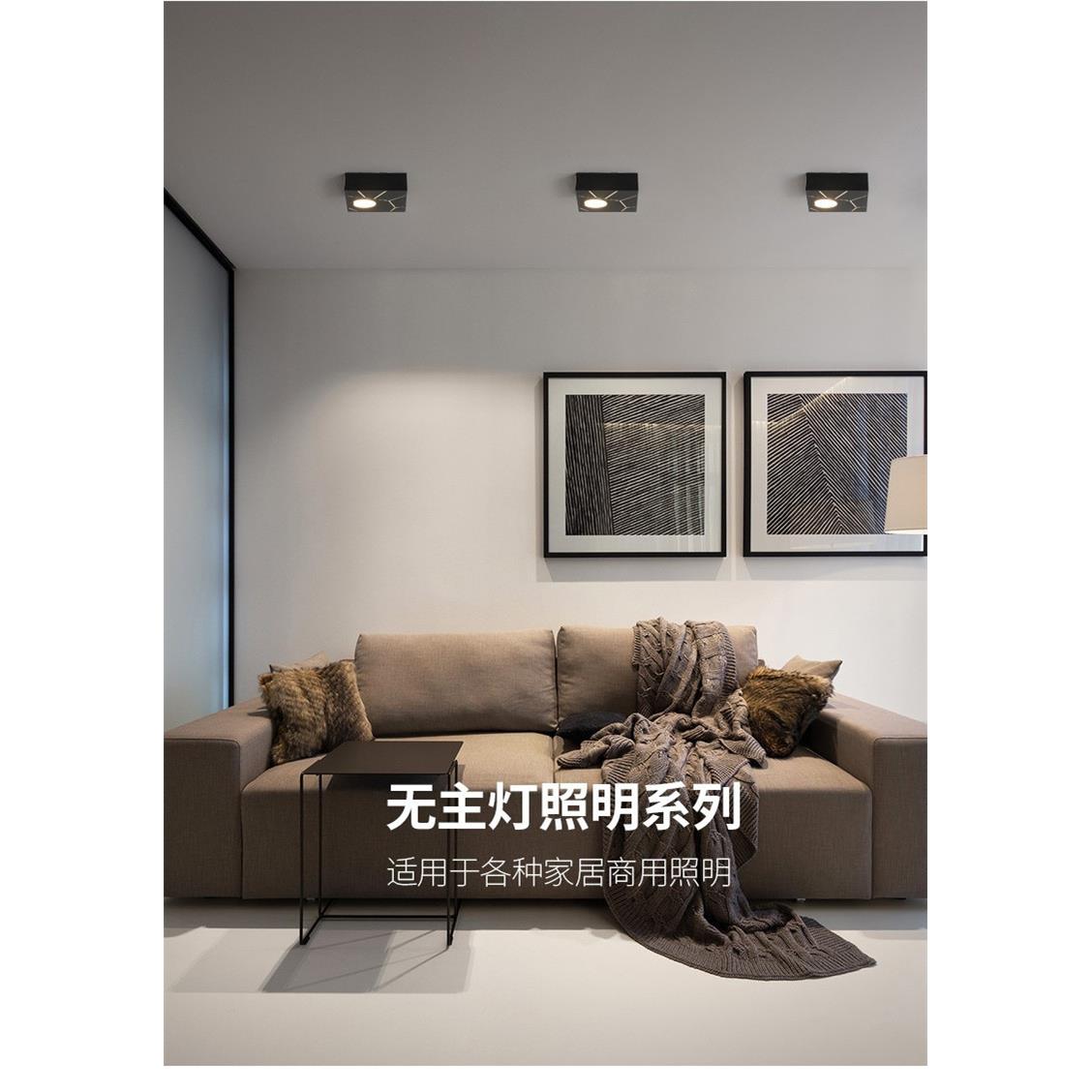 极简明装无主灯客厅照明卧室家用方形盒子斗胆灯过道灯格栅吸顶灯