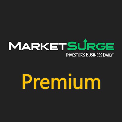 MarketSurge MarketSmith MSTool 美股 AI人工智能模式 牛股识别
