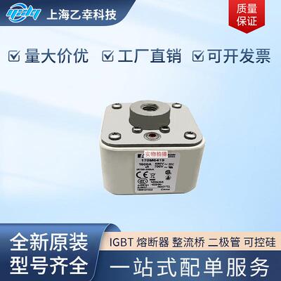 巴斯曼熔断器 170M6418 170M6419 170M6420 170M6421 170M6422