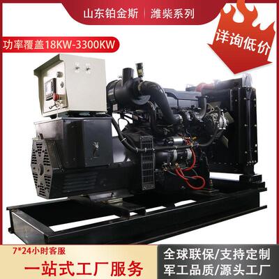 Weichai40KW柴油发电机组50kva锐动力小型三相潍柴40千瓦发电机