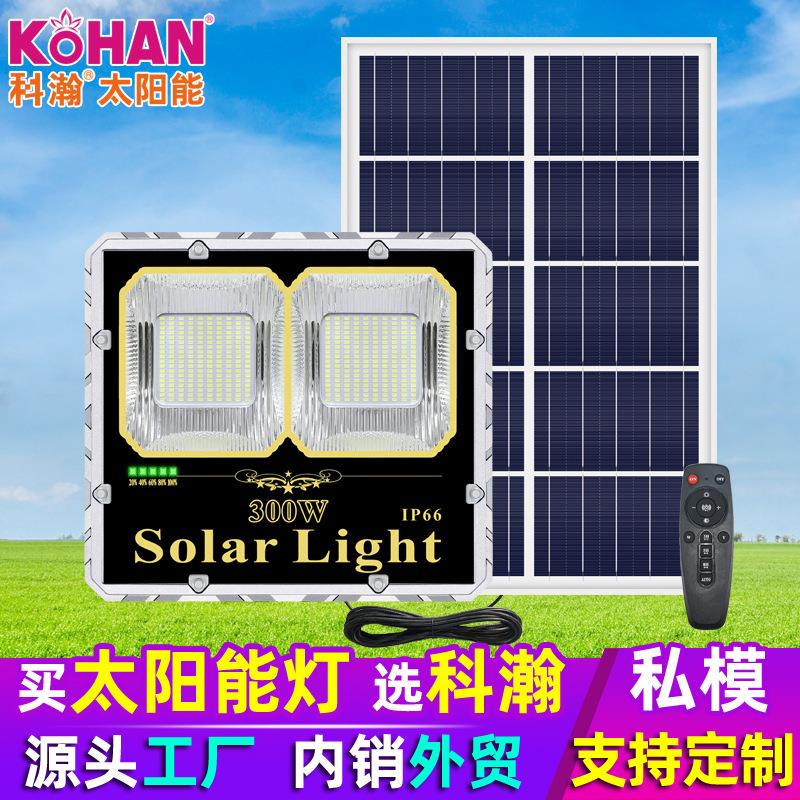 TS太阳能灯新款投光灯新农村家用庭院路灯户外超亮防水泛光灯私模