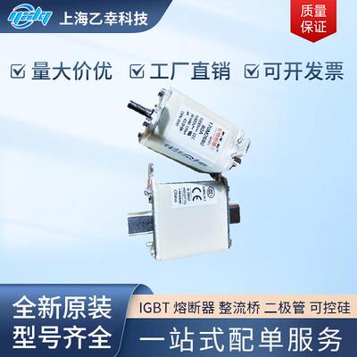 巴斯曼熔断器 170M2710 170M2711 170M2712 170M2713 170M2714