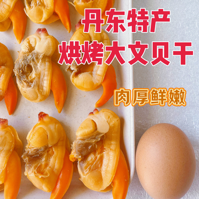 丹东大文贝干烘烤文贝肉大黄蚬子干去内脏即食海鲜干货蛤蜊肉半干