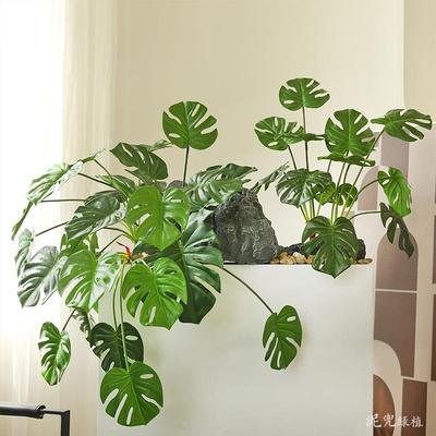 仿真手感龟背叶假叶子春芋鸟巢叶家居摆件仿真造景植物墙装饰