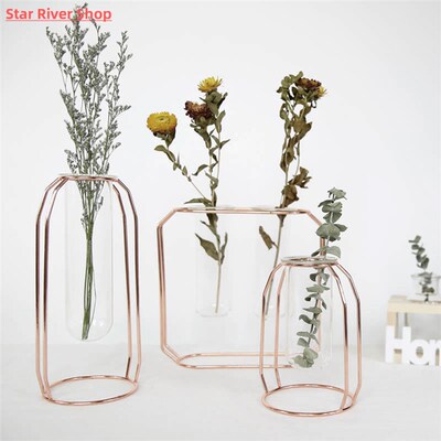 Nordic Creative Vase Home Decor Golden Glass Vase Hydroponic