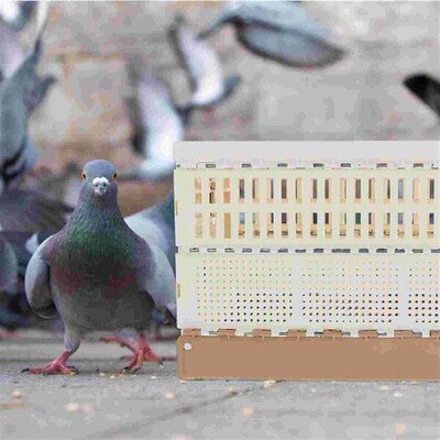 Pigeon Cage Bird Training Pet Supply Foldable Large Nest