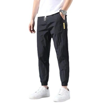 Ice Silk Pants Mens Summer Thin teny All-match Loose Casual