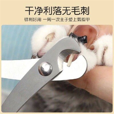 Pet Dog Beauty Products Nail Clippers Cat Nail Clippers