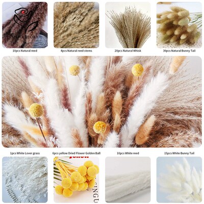 96pcs Pampas Dried Flowers Bunny Tails Grass Bouquet Wedding
