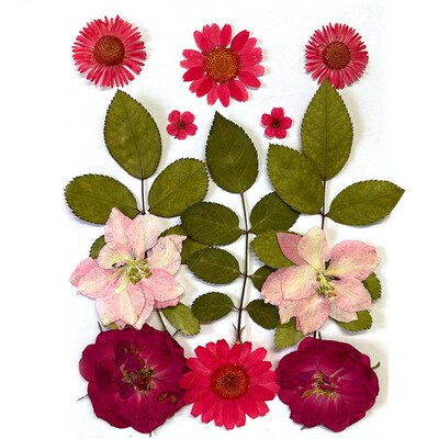 Strictly Selected Dry Flower Embossed Diy Material Package I