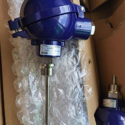 WIK TR10-3热电阻 威卡PT100温度传感器 -30~300 3线制