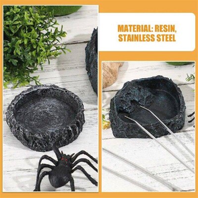 Bearded Dragon Food Bowl Leopard Gecko Water Dish Reptile