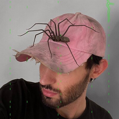 跨境爆品  plastic spider as decoration 塑料装饰蜘蛛恶搞摆饰