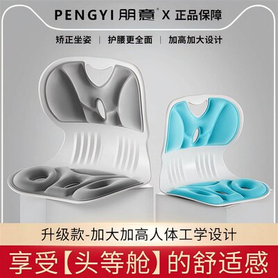 Pony Ergonomic Lumbar Support Cushion, Posture Correction Ch
