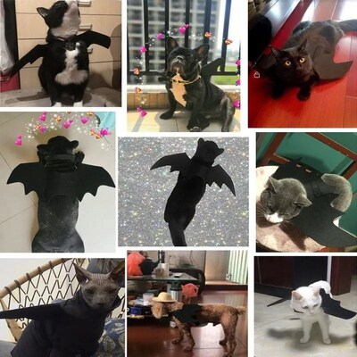 Pet Cat Costume Bat Wings Funny Pet Cosplay Prop Dog Hallowe
