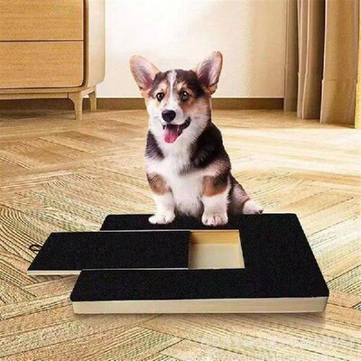 Dog Nail Scratch Pad Pull-Out Pet Scratcher Nail Trim Pad