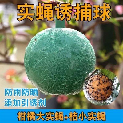 1-5pcs Gnat Traps Flying Insects Traps Ball Fruit Fly