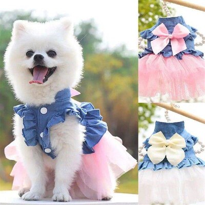 Decorating  Stylish Summer Dog Two-legged Clothes Pullover