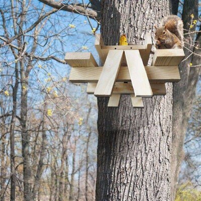 Wood Squirrel Picnic Table, Feeder For Squirrels With Corn
