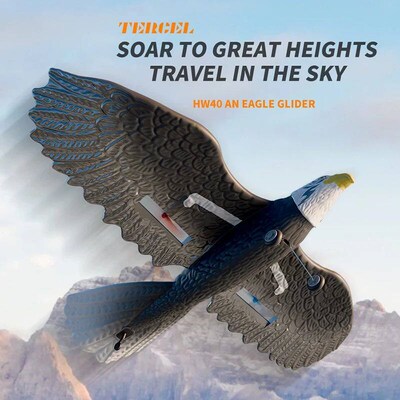 RC Plane 2.4G 420MM Wingspan Eagle Airplane EPP Foam Aircraf