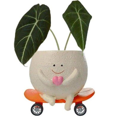 Roller skating succulent flower pot Cartoon Cute Mini