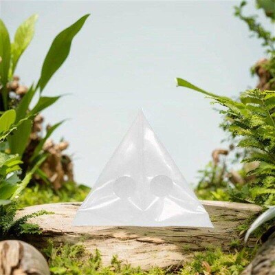 20 Pcs Slug Traps Disposable Reptile Trap Snail Bags Garden