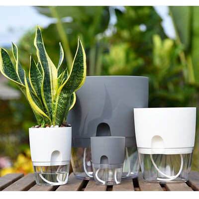 ABS Automatic Self Watering Flower Pot for Succulent Plants