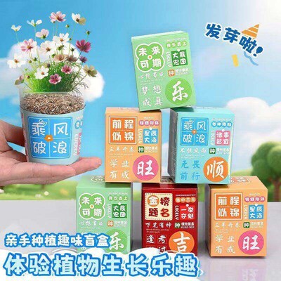 Creative Kidsrens Plant Blind Box Kindergarten Reward