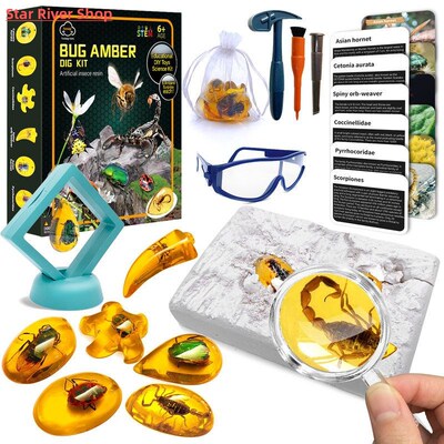 Fly Excavation Kit Amber Excavation Science Toys Interactive