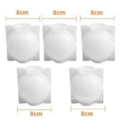 5/8cm Plant Root Growing Box Breeding Case 5pcs Plant