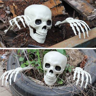 Haunted house horror props Mummified skeletons Halloween dec