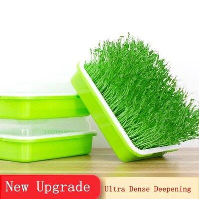 Deepen Seed Sprouter Tray With Cover Sprout Dish Growing Pot