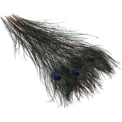10 Pcs Decor Peacock Vase Decorative Plumes Filling Party