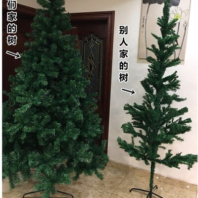 2 meters 4 Christmas tree encryption 2.4m large Christmas tr