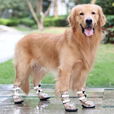 Dog Shoes Waterproof Transparent Non-Slip Rain Boots Outdoor