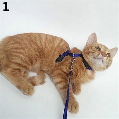 Dog Cat Collar Harness Leash Adjustable Nylon Pet Traction