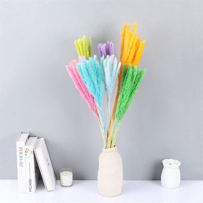 Eternal Small Reeds Dried Flowers Pampas Reed Pampas Natural