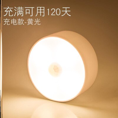 Motion Sensor LED Night Light USB Rechargeable Lamp感应灯