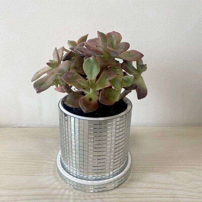 New Glass Square Flower Planter Pots Mirror Flower Basket Fl