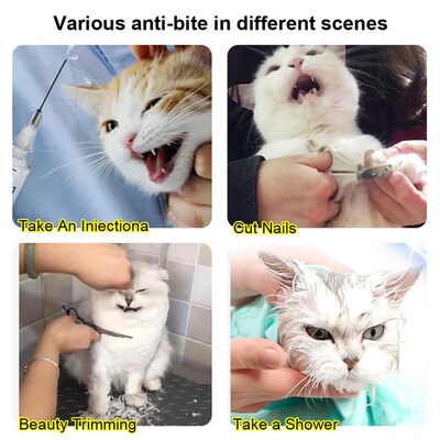 Protective Space Hood Anti-Bite Breathable Grooming Mask Cat